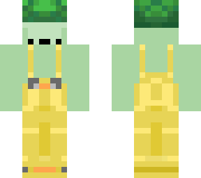 turtle hat | Minecraft Skin