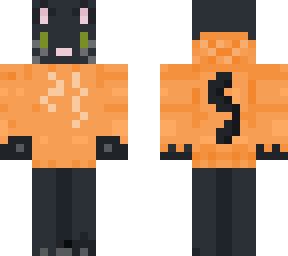 Black Cat with hoodie | Minecraft Skin