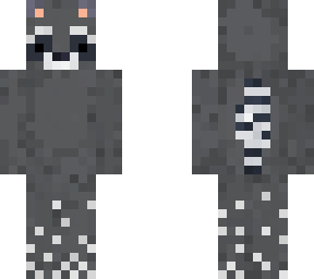Raccoon | Minecraft Skin