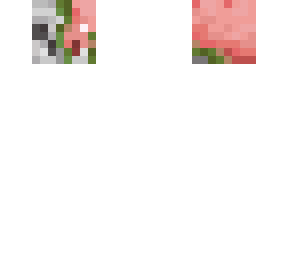 Zombified Piglin - Head | Minecraft Skin