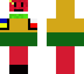 Lithuanian SSR Ukraine And Polish Flag | Minecraft Skin