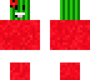 sunny and melon | Minecraft Skins