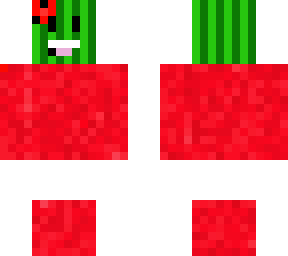 sunny and melon | Minecraft Skins