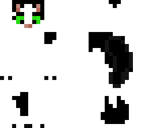 IRL cat | Minecraft Skin