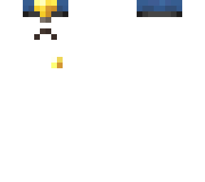 Police Hat and Badge | Minecraft Skin