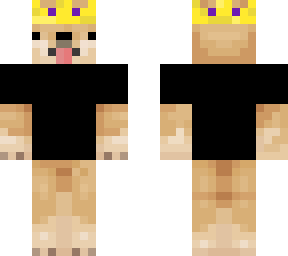 doge with crown | Minecraft Skin