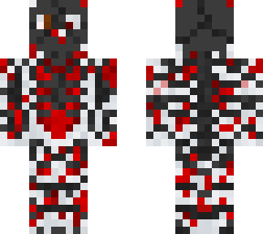 Sealed Flay | Minecraft Skin