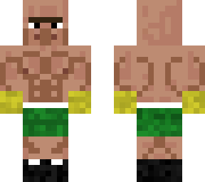 boxing villager | Minecraft Skin