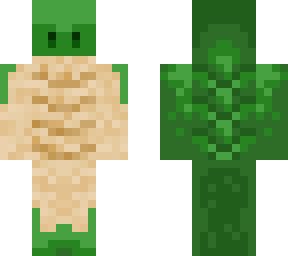 turtle | Minecraft Skin