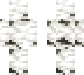 Birch Planks | Minecraft Skin