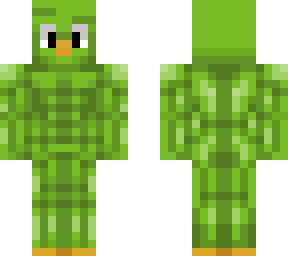 Duolingo | Minecraft Skin