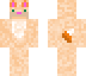Twig is my ginger cat | Minecraft Skin