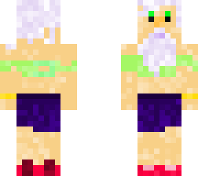 The Blizzard Wizzard | Minecraft Skin