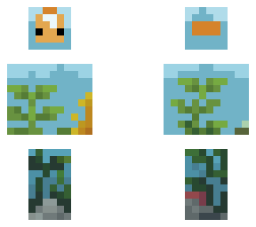Tropical Fish Head | Minecraft Skin