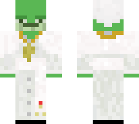 Frog Pope | Minecraft Skin