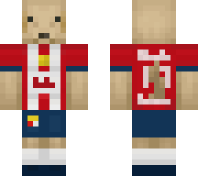 chivas fc | Minecraft Skins