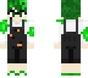 Slimecicle Inspired Skin | Minecraft Skin