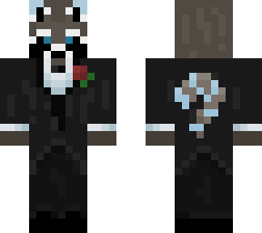 raccoon | Minecraft Skins