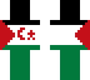 Western Sahara Flag | Minecraft Skin