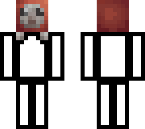 cat meme | Minecraft Skins