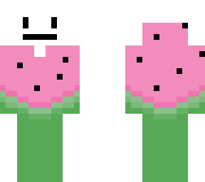 melon | Minecraft Skins