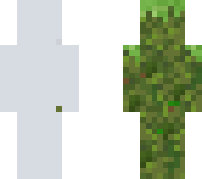 invisible | Minecraft Skin