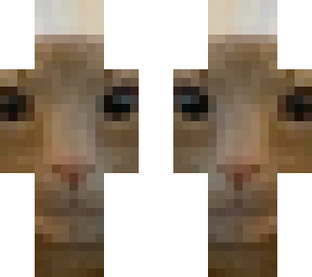 cat | Minecraft Skin