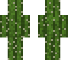 cactus | Minecraft Skins