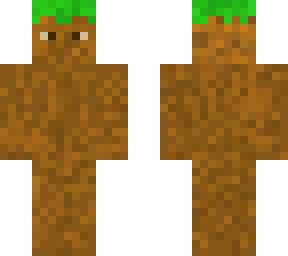Dirt Block | Minecraft Skin