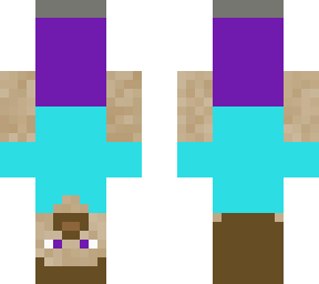 upside down steve | Minecraft Skins