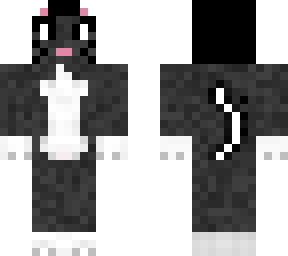 cat beanie | Minecraft Skins