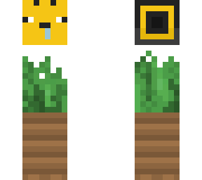 dirpy | Minecraft Skins