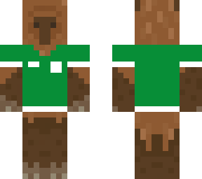 Carpincho de ferro full godete | Minecraft Skin