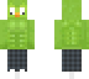 duolingo skin | Minecraft Skins