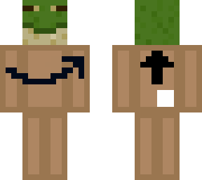 Phrog In A Box | Minecraft Skin