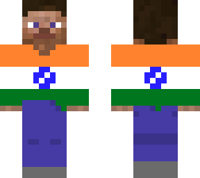 Steve India Flag | Minecraft Skin