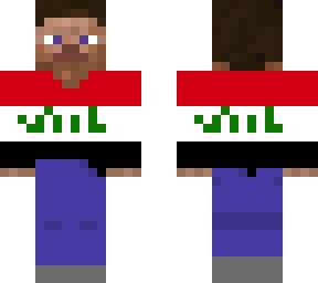 Steve Iraq Flag | Minecraft Skin