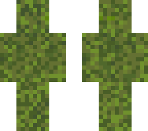 Moss | Minecraft Skin