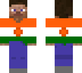 Steve ***** Flag | Minecraft Skin