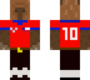Capibara flaite chileno | Minecraft Skin
