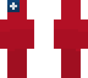 Taiwanese Flag | Minecraft Skin