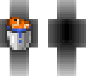 Bucket Of Tropical Fish | Minecraft Skin