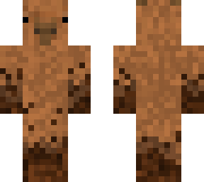 muddy capybarra | Minecraft Skin