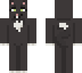 loons2 | Minecraft Skin