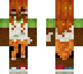 animator vs animation | Minecraft Skins