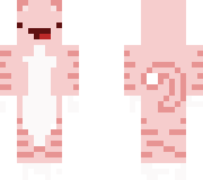 derp cat | Minecraft Skins