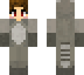 mapache | Minecraft Skins