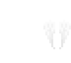 angel wings | Minecraft Skins