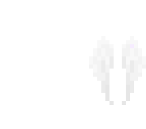 angel wings | Minecraft Skins