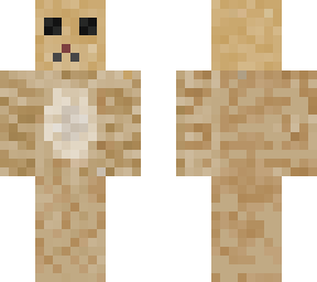 el gato | Minecraft Skin